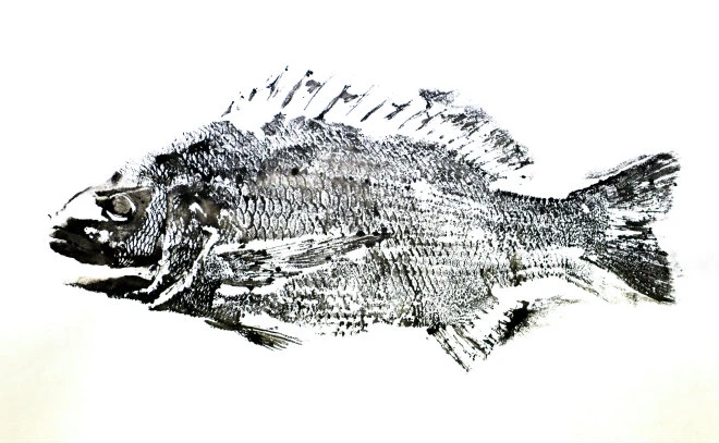 Ink Fish Printing – Friends of Kohler-Andrae State Park